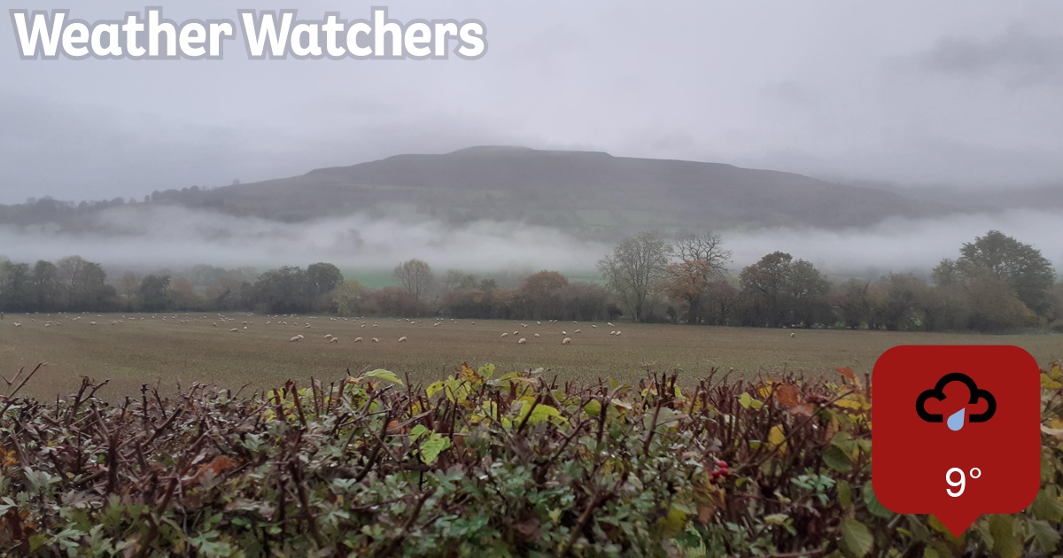 Report - BBC Weather Watchers