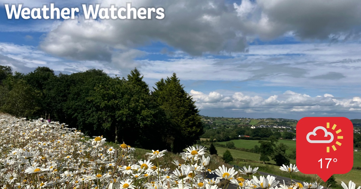 Report - BBC Weather Watchers
