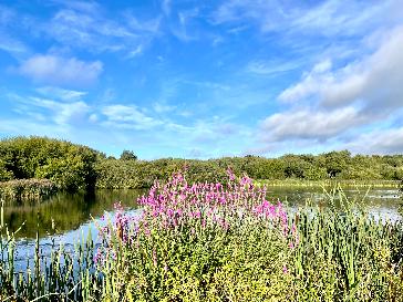 Stockport - BBC Weather