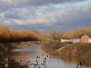 Woking - BBC Weather