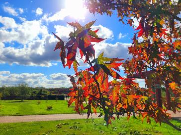 Denton - BBC Weather