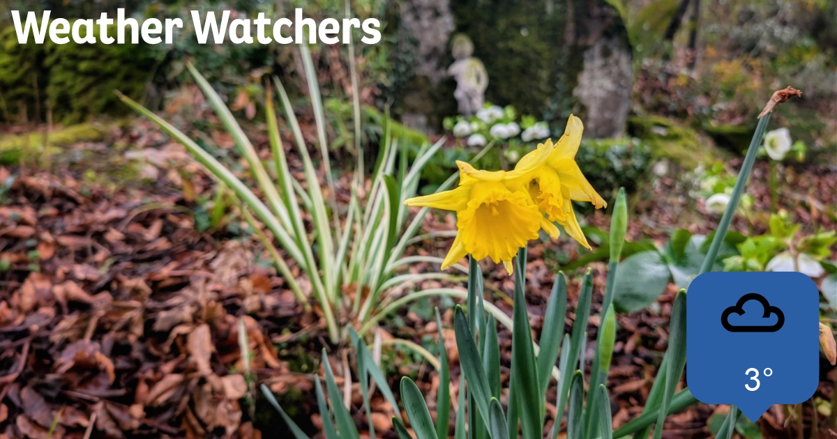 Report - BBC Weather Watchers