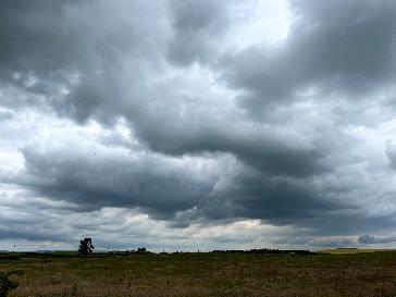 Airdrie - BBC Weather