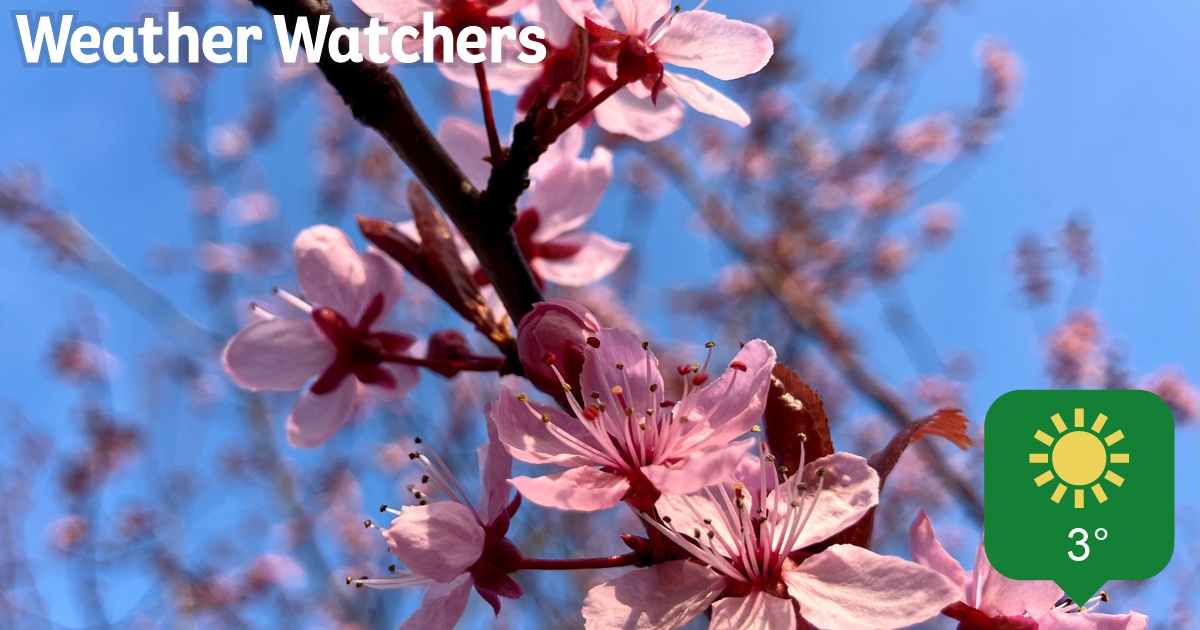 Report - BBC Weather Watchers