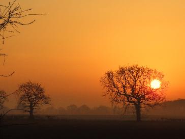 Sheffield - BBC Weather