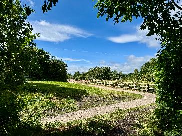 Oldbury - BBC Weather