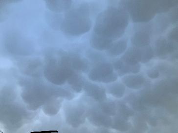 Cambridge - BBC Weather