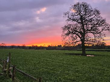 Widnes - BBC Weather