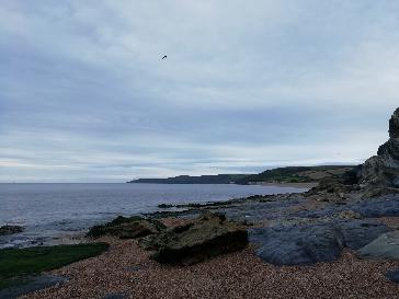 Torquay - BBC Weather