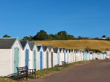 Torquay - BBC Weather
