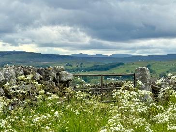 Redcar - BBC Weather