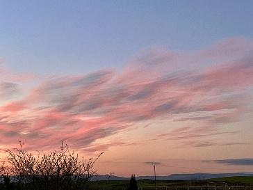 Prestwick Airport - BBC Weather