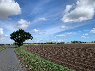 Immingham - BBC Weather