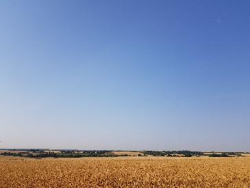 Braintree - BBC Weather