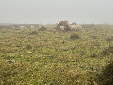 Telford - BBC Weather