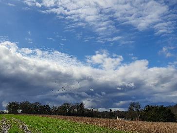 Ipswich - BBC Weather