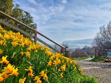 Whitby - BBC Weather