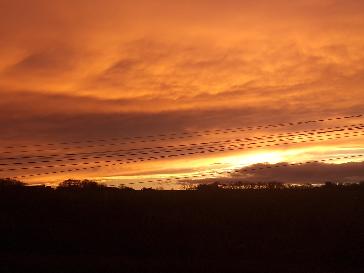 Banwell Castle - BBC Weather