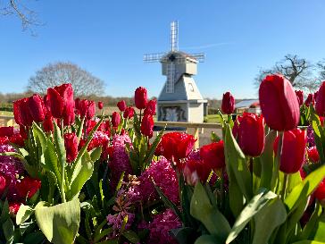 Warwick - BBC Weather