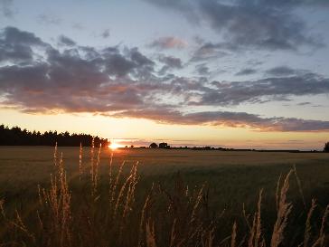 Basildon - BBC Weather