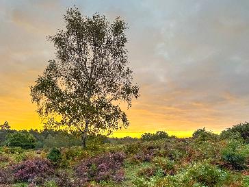 Worksop - BBC Weather