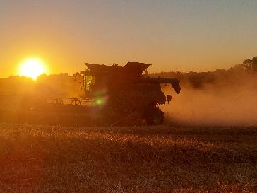 Northampton - BBC Weather