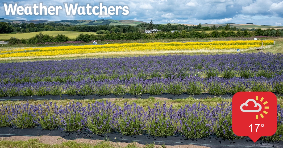 Report - BBC Weather Watchers