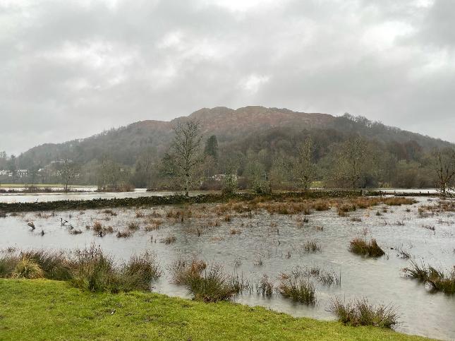 Report - BBC Weather Watchers