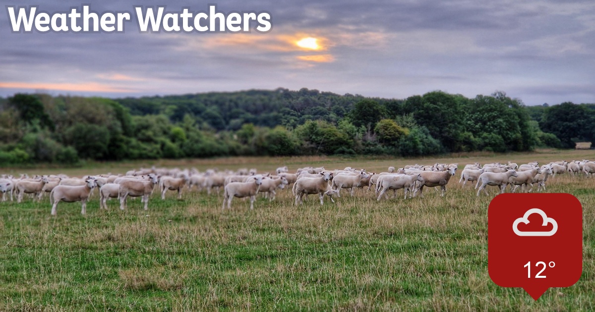 Report - BBC Weather Watchers