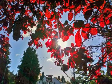 Wolverhampton - BBC Weather