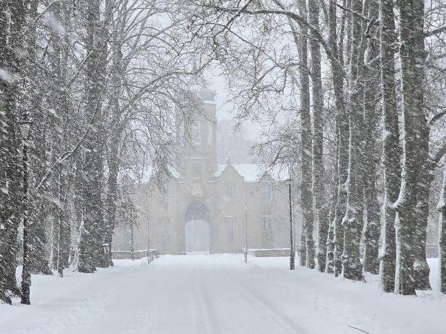 Report - BBC Weather Watchers