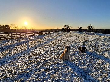 Alcester - BBC Weather