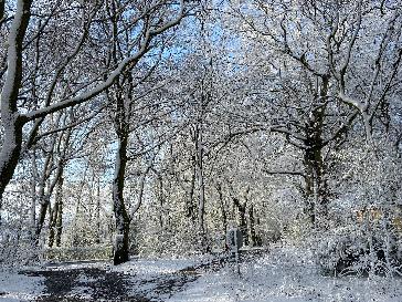 Whitby - BBC Weather