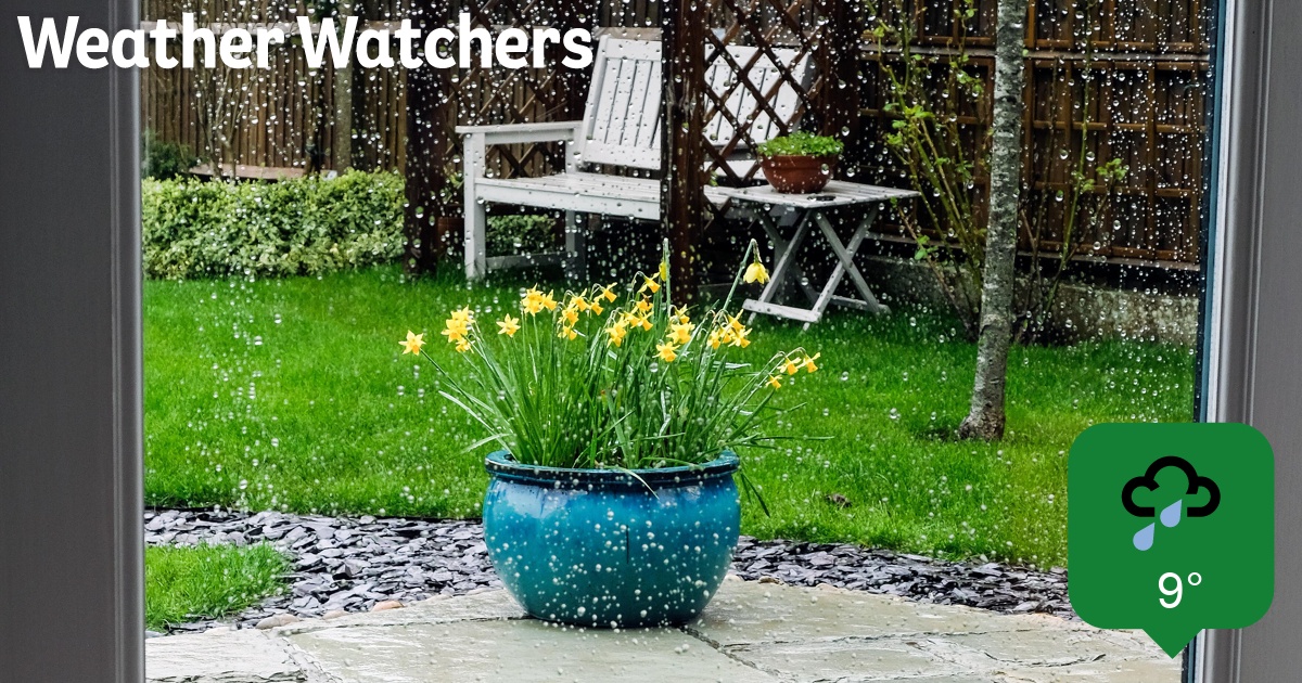 Report - BBC Weather Watchers