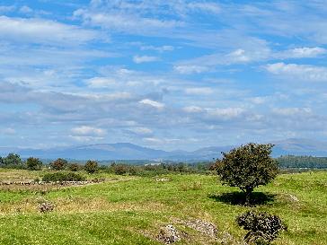 Moniaive - BBC Weather