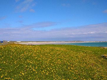Irvine - BBC Weather