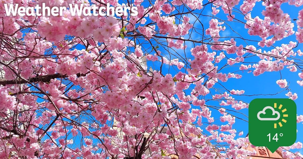 Report - BBC Weather Watchers