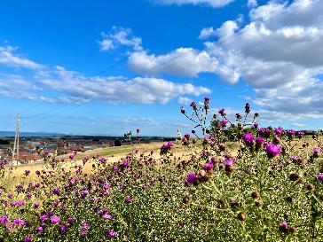 Middlesbrough - BBC Weather