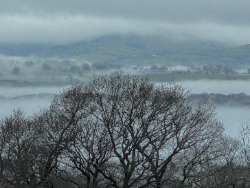 Mold - BBC Weather