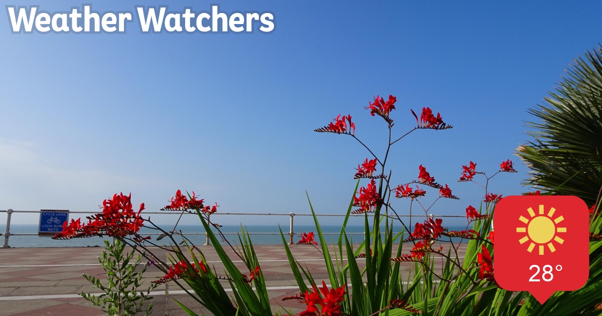 Report - BBC Weather Watchers