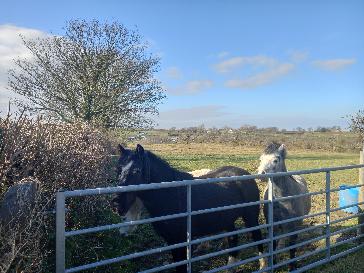 Colwyn Bay - BBC Weather