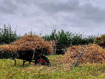 Northampton - BBC Weather