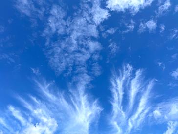 Colchester - BBC Weather