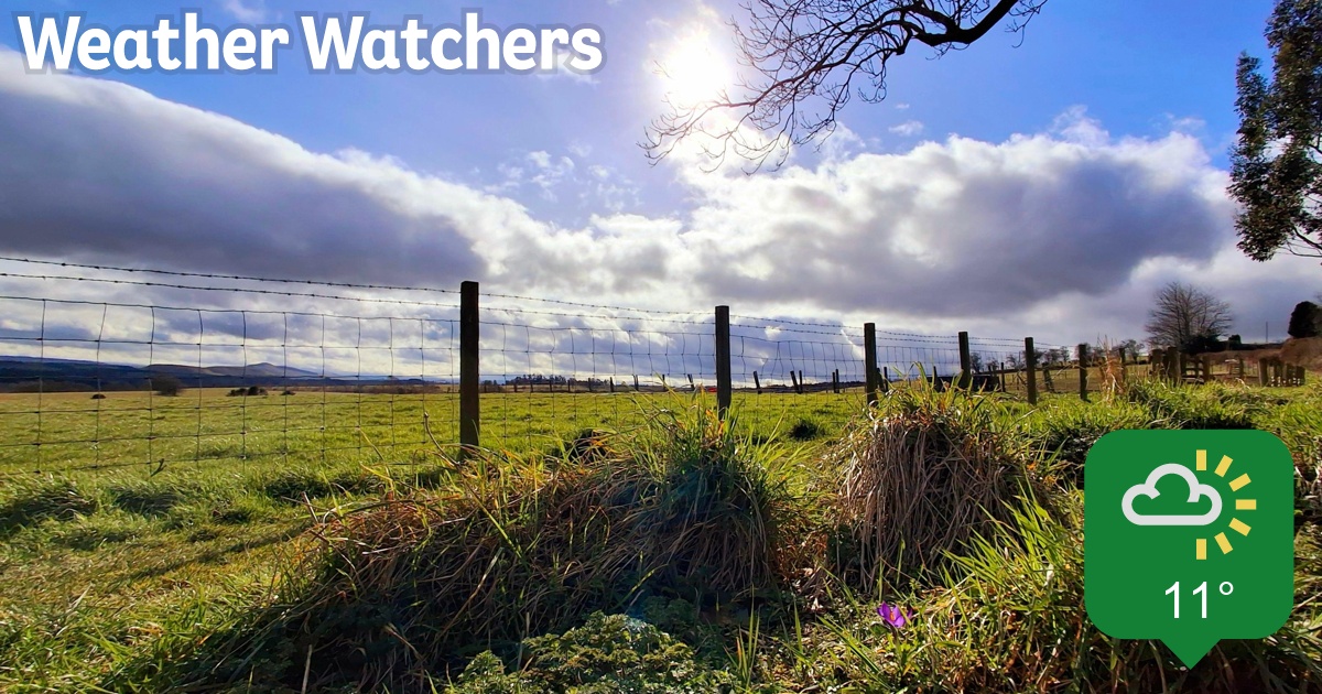 Report - BBC Weather Watchers