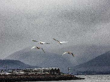 Dunoon - BBC Weather