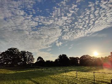 Lyndhurst - BBC Weather