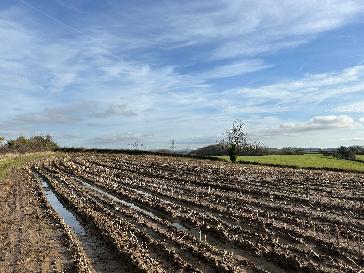 Portishead - BBC Weather