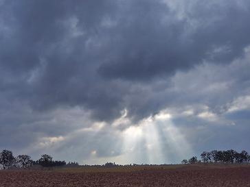 Montrose - BBC Weather