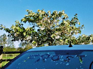 Telford - BBC Weather