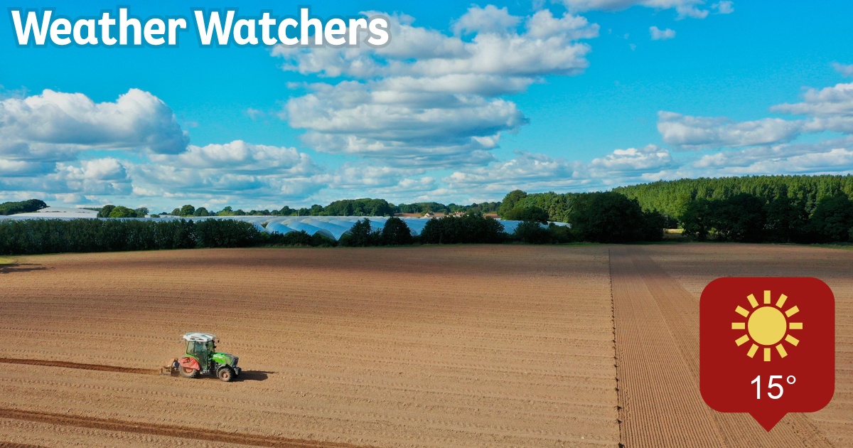 Report - BBC Weather Watchers